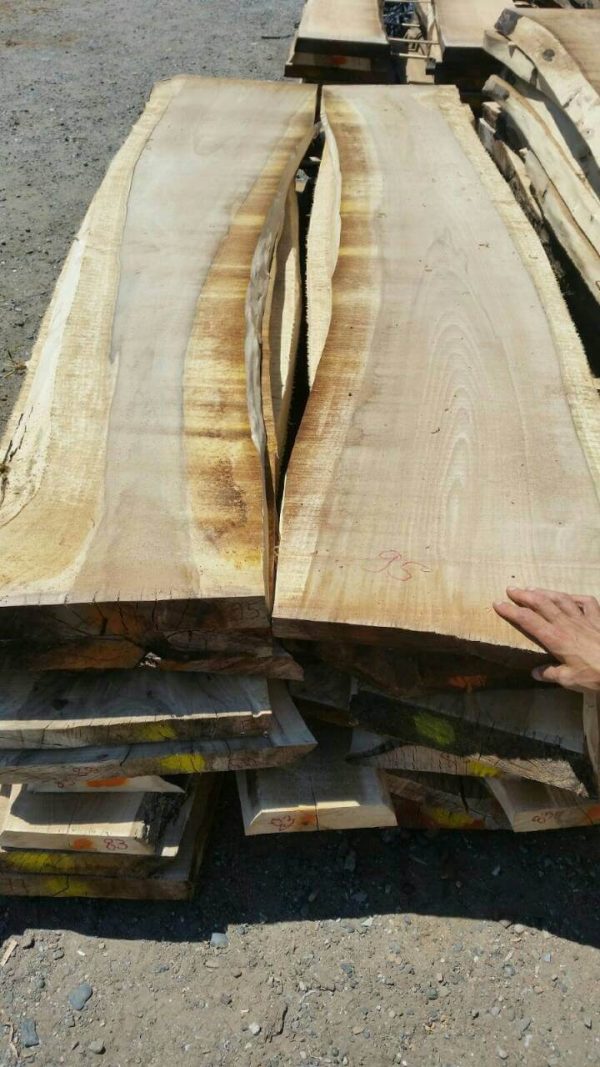 Unfinished walnut wood / unedged lumber - Mijatovic Ltd wood supplier