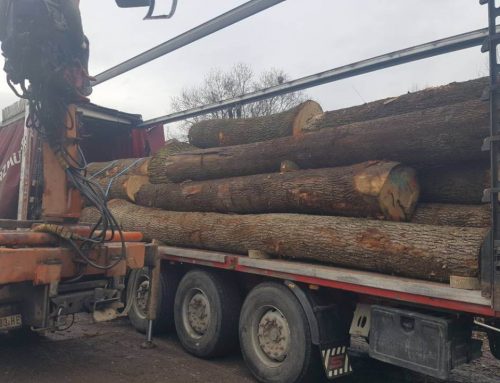 European red oak lumber | Solid oak lumber - Mijatovic Ltd