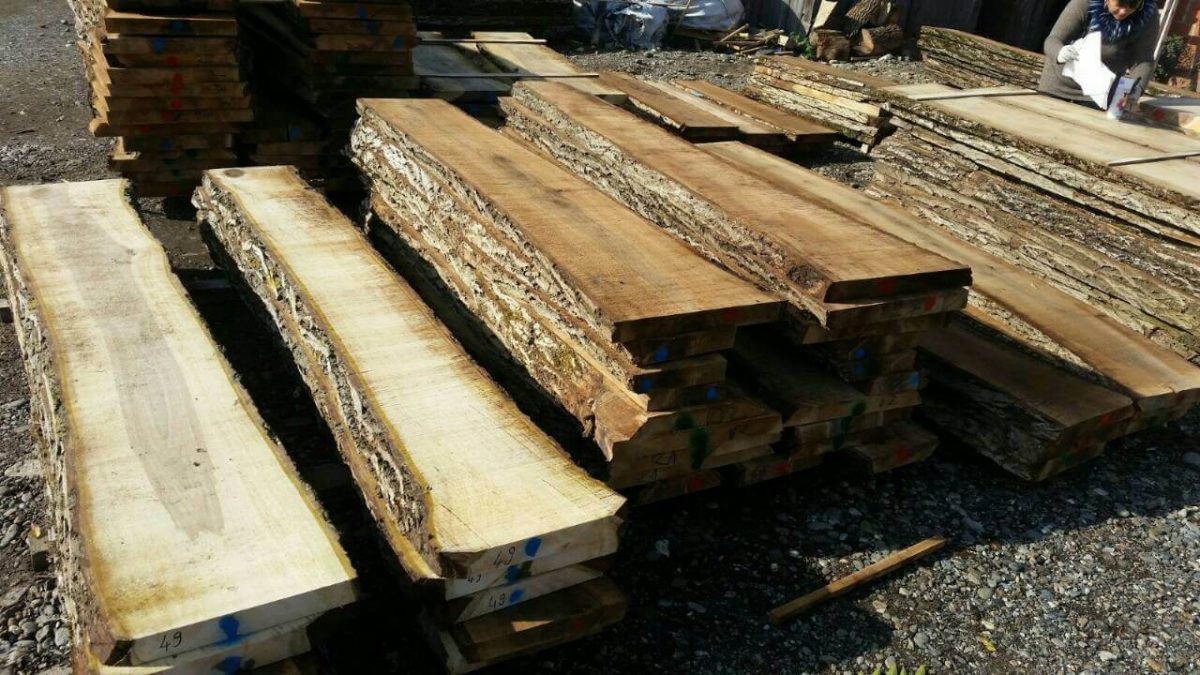 Unfinished walnut wood / unedged lumber - Mijatovic Ltd wood supplier