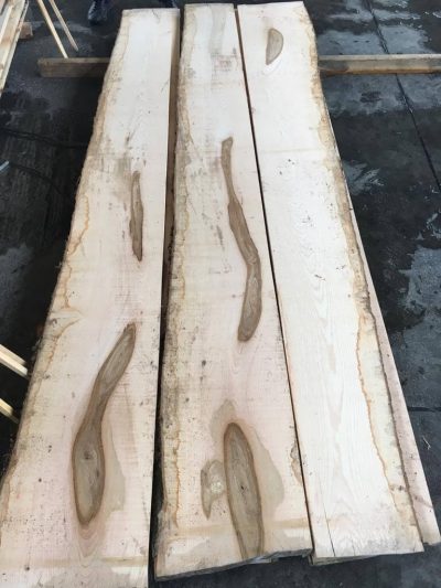 Unedged European ash lumber - Mijatovic Ltd wood supplier