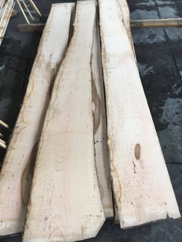 Unedged European ash lumber - Mijatovic Ltd wood supplier